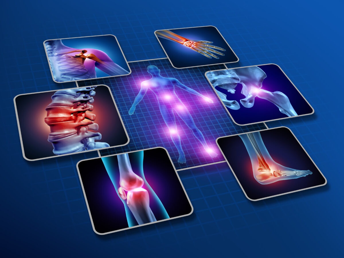 GERN in Freiburg – G.E.R.N. in Freiburg, Gewebeersatz, Regeneration ...